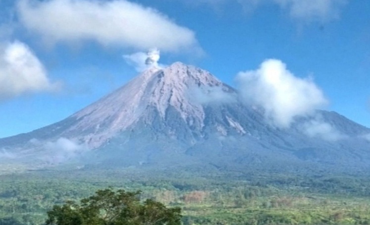 Gunung Semeru Kembali Erupsi dengan Letusan Setinggi 800 Meter di Atas Puncak - FaktualNews.co